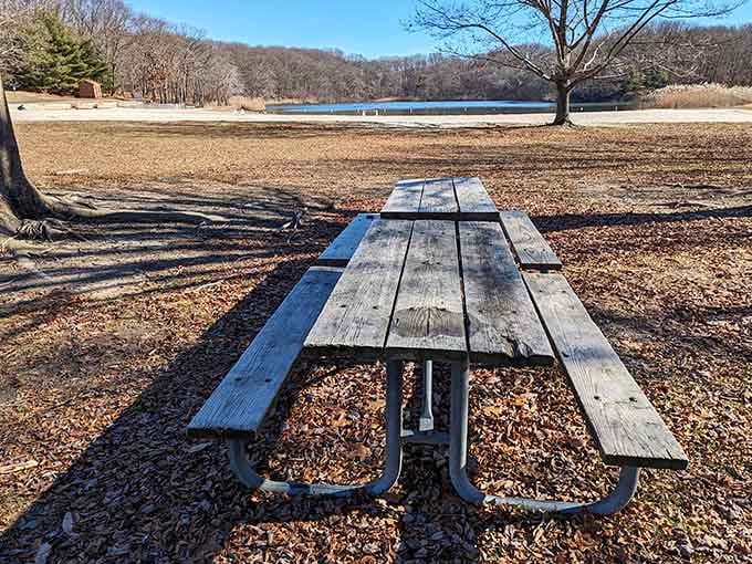 Pack a sandwich, find this table, and suddenly your lunch break becomes the highlight of the entire week.