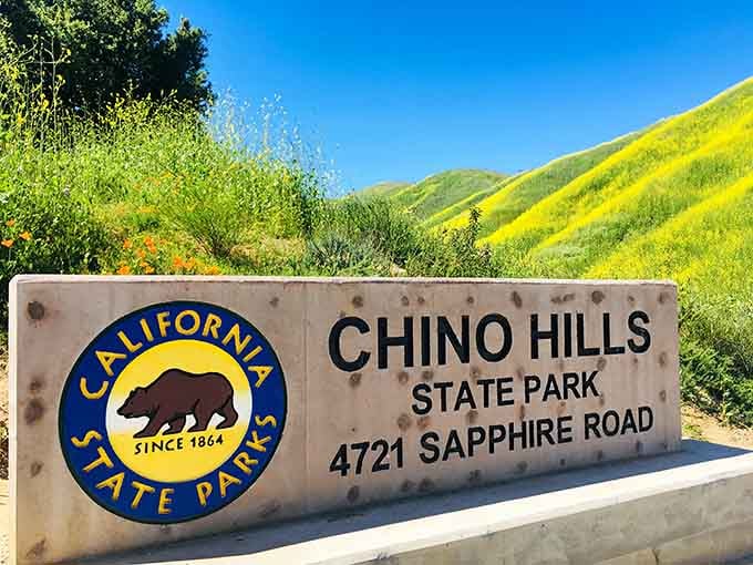 The official welcome sign for Chino Hills State Park, where the hills behind it are doing all the real talking.