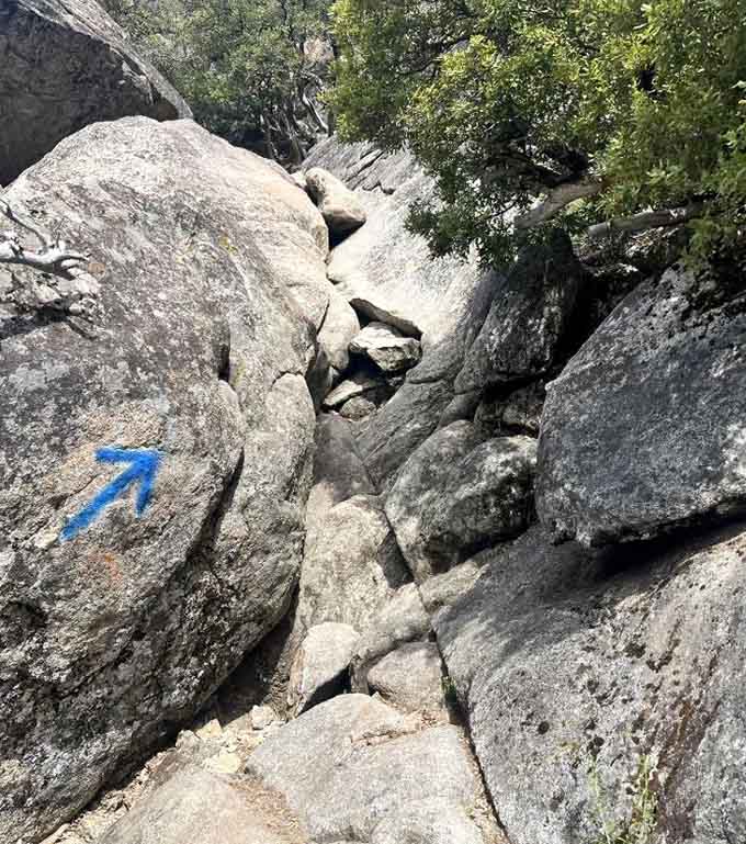 Granite boulders create natural sunbathing platforms, though some are more comfortable than lying on a pile of doorknobs.