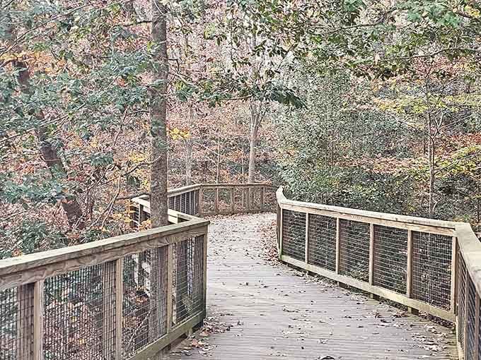 The wooden boardwalk curves gently through Congaree's autumn forest, inviting you to slow down and look around.