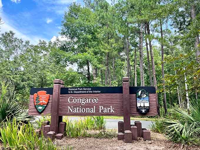 The Congaree National Park entrance sign stands proudly, welcoming you to fifteen world records hiding behind it.