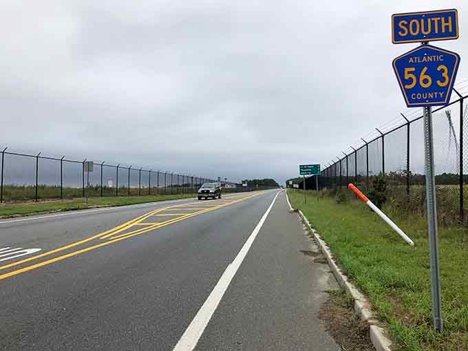 Chain-link fencing marks protected Pinelands areas, preserving this unique ecosystem for generations of future road trippers.