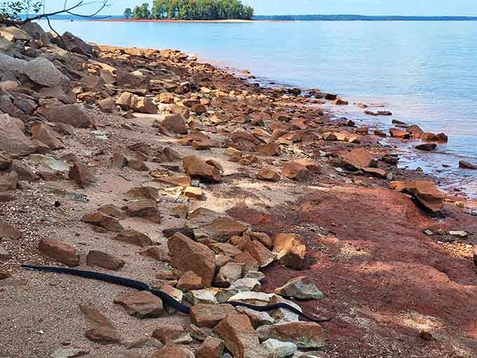 The red clay shoreline gives Lake Hartwell its distinctive character and natural beauty.