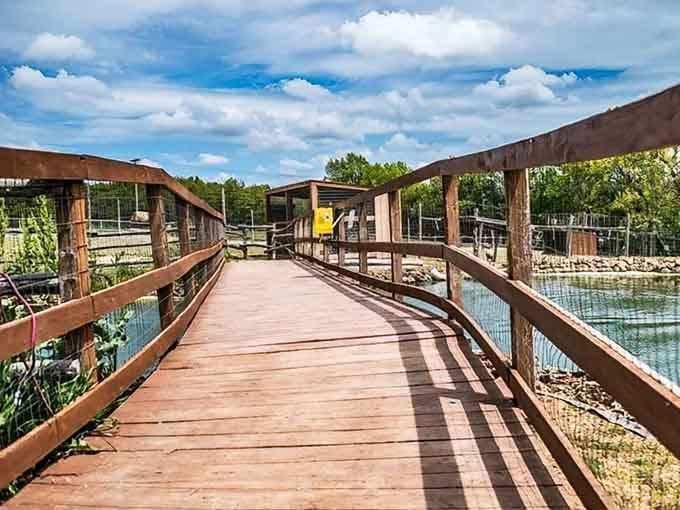 This sun-drenched wooden boardwalk curves toward adventure, and whatever waits at the other end is absolutely worth the walk.