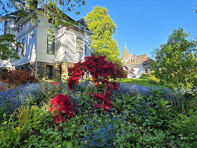 Vivid red blooms against a blue Oregon sky. Mother Nature clearly has strong opinions about color.