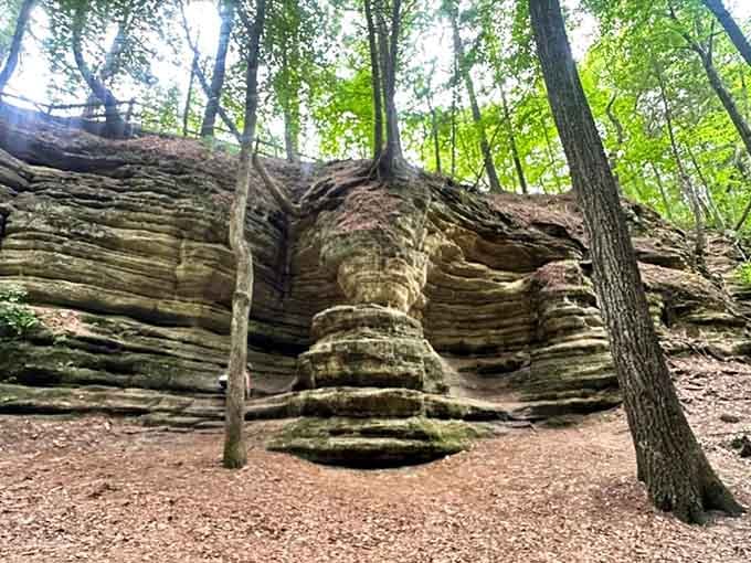 These layered sandstone formations took thousands of years to build. Your patience on the trail is the least you can offer.