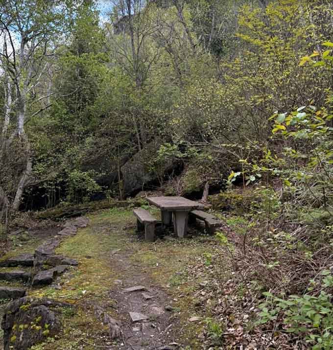 A stone picnic table tucked into the gorge. Nature's version of a corner booth, and it's always available.