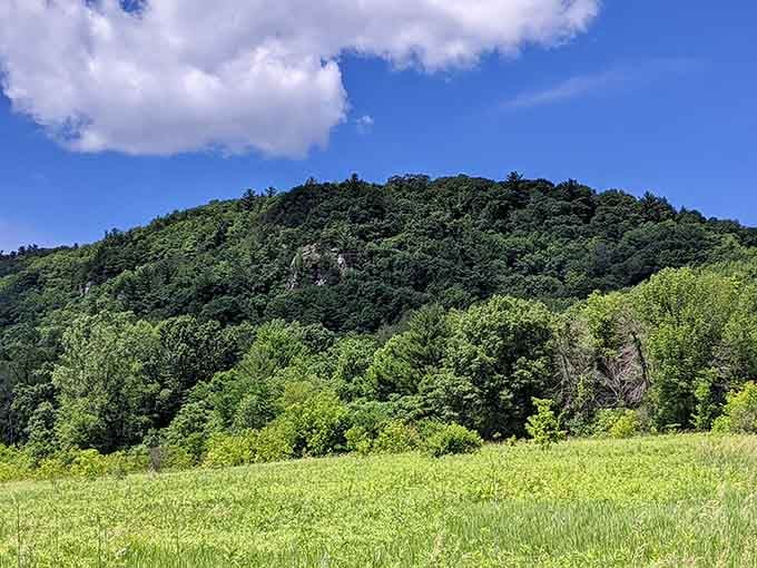 Rolling green hills stacked against a perfect blue sky, proof that Wisconsin doesn't need a marketing team, just good weather.