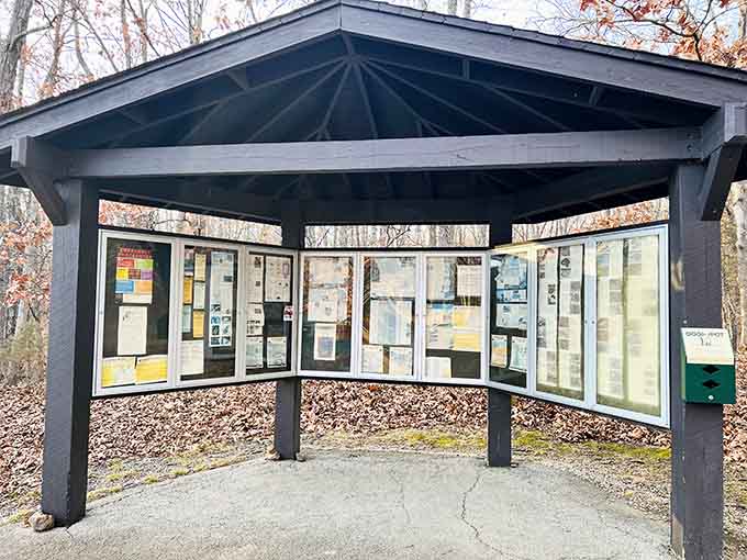 The information kiosk at Elephant Rocks. Stop here first, because this park rewards the prepared visitor.