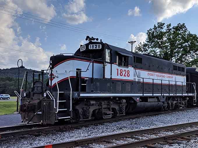 Clean lines, sharp colors, and serious power. Locomotive 1828 looks like it just stepped out of a railroad catalog.