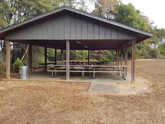 This picnic shelter is proof that the best dining room in Alabama sometimes doesn't have any walls at all.