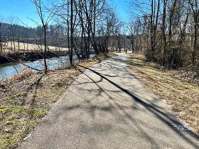 A paved riverside path running alongside the Little Tennessee River, proof that the best walks have great company.
