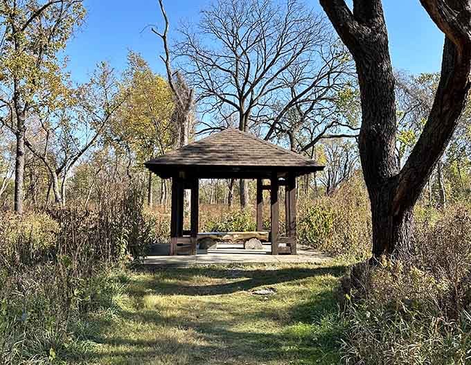 Your perfect spot for contemplation and sandwich eating, this shelter frames the prairie like a living photograph.