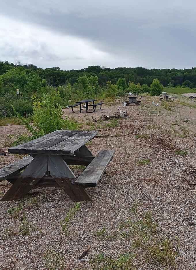 These weathered tables have hosted more family memories than your photo album could ever hold.