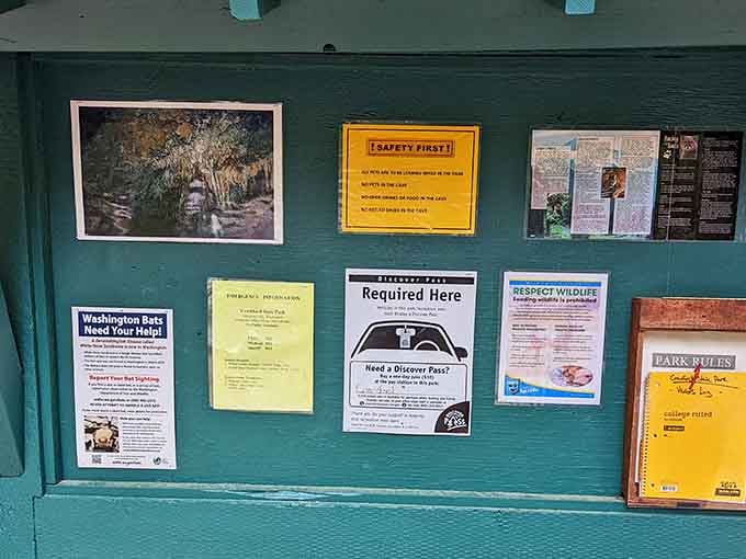 The information board outside tells you everything you need to know, including the golden rule: no pets underground.