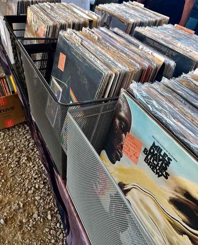 Pink Floyd and Miles Davis sharing crate space together. This record collection has genuinely excellent taste in neighbors.