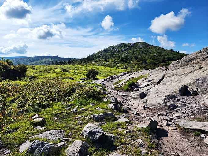 Rocky terrain meets green meadows in a landscape mashup that shouldn't work but absolutely does.