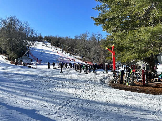 Ski Butternut delivers genuine Berkshire winter fun, where cold cheeks and warm lodge memories are practically guaranteed together.