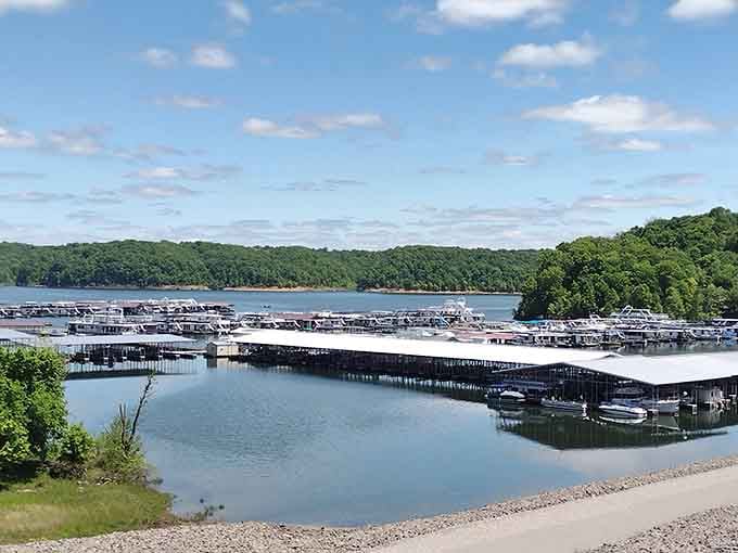 Rows of boats tucked into the marina, all of them quietly waiting to take someone somewhere wonderful on the water.