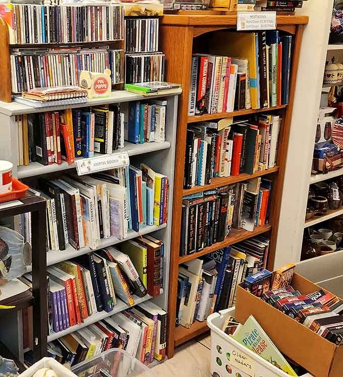 Books organized by genre, CDs stacked neatly above, a reader and music lover's quiet paradise hiding in plain sight.