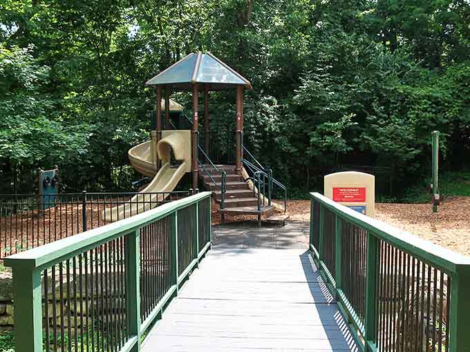 A wooden bridge leading through the trees to a playground feels less like a park feature and more like an invitation to adventure.