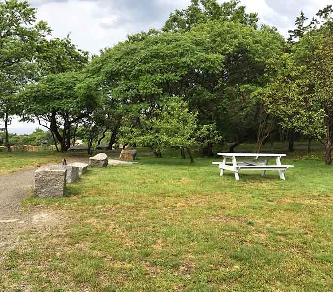 Simple picnic tables under shade trees offer front-row seats to nature's show, where even basic sandwiches taste like gourmet meals.