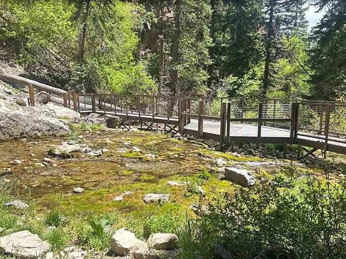 Elevated boardwalks protect delicate ecosystems while giving your knees a break from the rocky climb upward.
