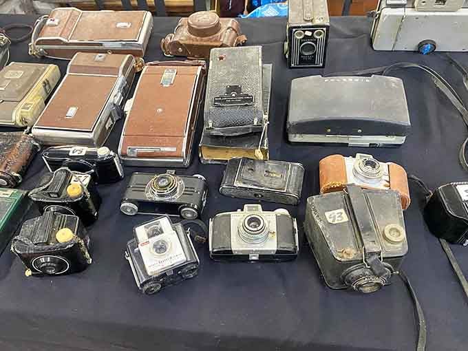 A whole table of vintage cameras, each one holding memories from decades nobody alive can quite remember.