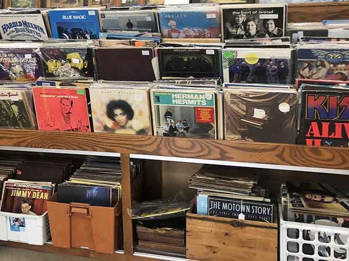 Vinyl records stacked deep, from KISS Alive II to Herman's Hermits, proof that every era deserves a second spin.