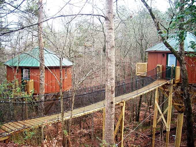 Multiple treehouses connected by bridges create a village where Peter Pan would gladly pay property taxes to live.