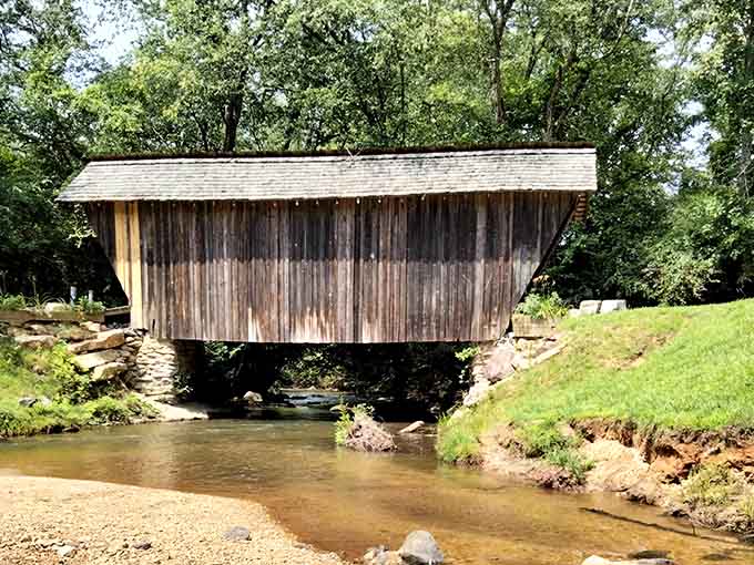 From the creek bank, the bridge looks like it grew there naturally, which is honestly the highest compliment architecture can receive.