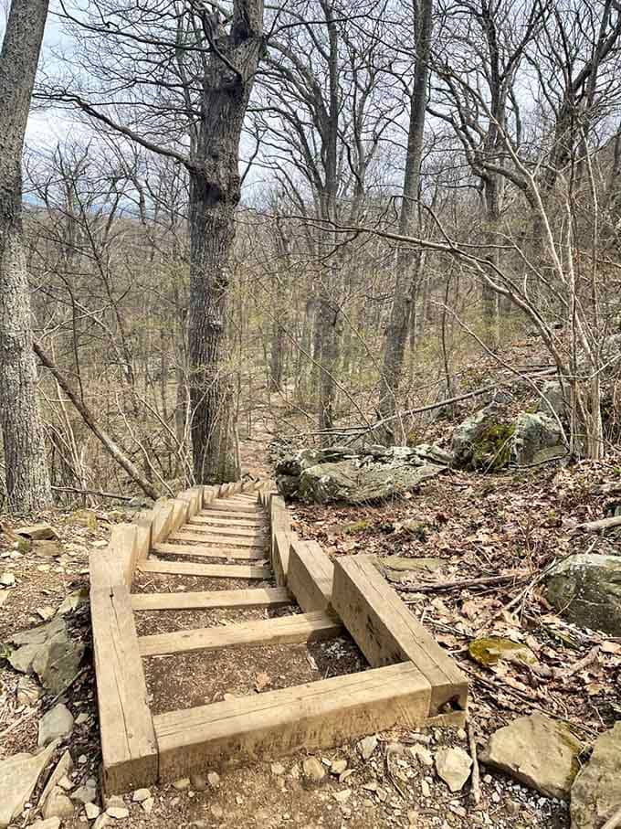 These wooden steps are your new best friends, making the steepest sections slightly less intimidating than they look.