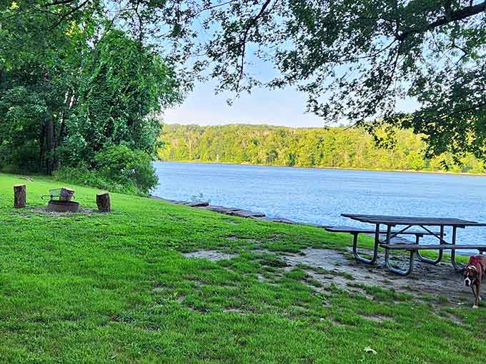 A picnic table with a river view that most restaurants would charge serious money to compete with.