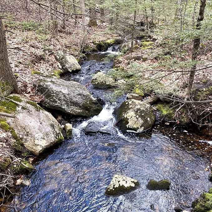 That sound you hear is a forest stream doing its best impression of a nature documentary soundtrack. It nails it.