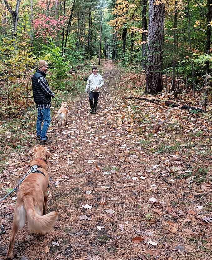 Fall foliage, leashed dogs, and good company. This is what a perfect afternoon actually looks like.