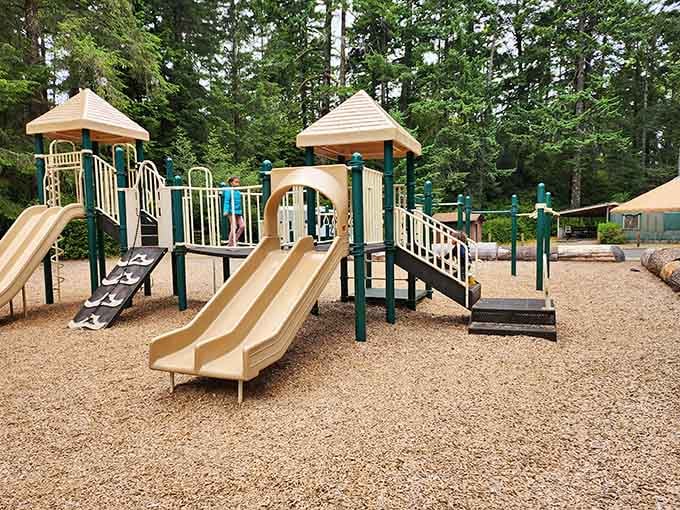 Even the playground here comes with a forest backdrop. Oregon really doesn't know how to do ordinary.