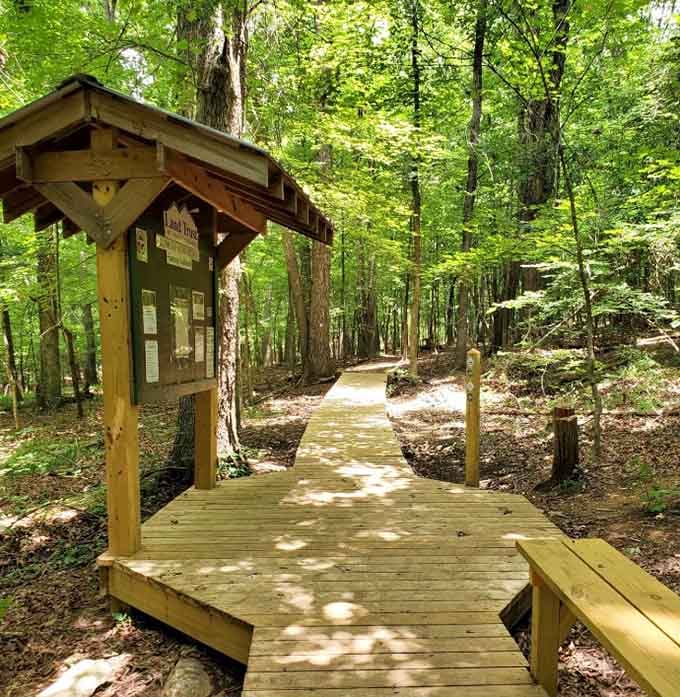 Welcoming kiosk where your adventure officially begins, standing ready like a friendly ranger who never takes lunch breaks.