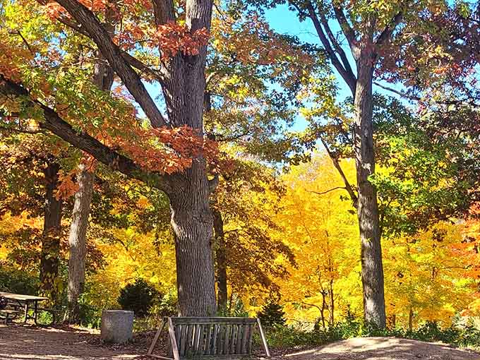 A park bench surrounded by autumn color so vivid it looks like someone turned the saturation all the way up.