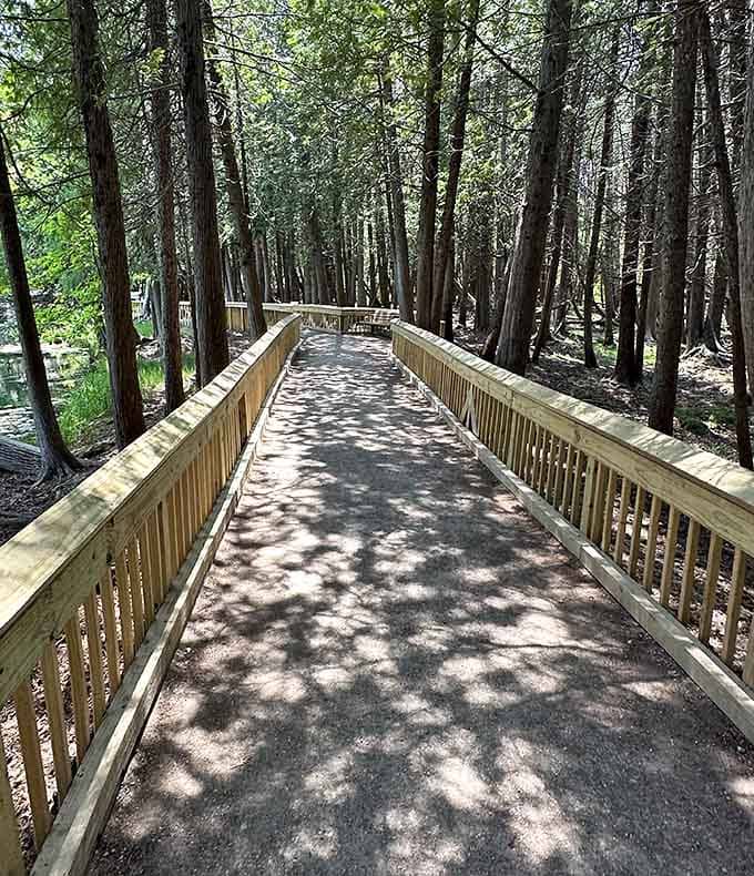 The boardwalk through the pines builds anticipation like a good opening act before the main event arrives.