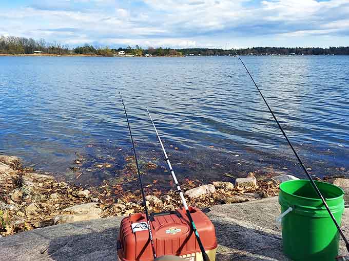 Three rods, a tackle box, a green bucket, and the whole St. Lawrence River to yourself. Retirement looks pretty good from here.