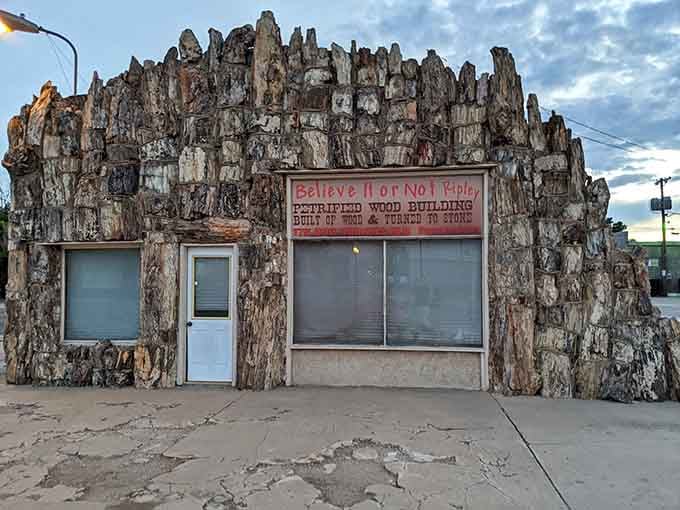A building made entirely of petrified wood, because Lamar decided regular buildings were simply not interesting enough.