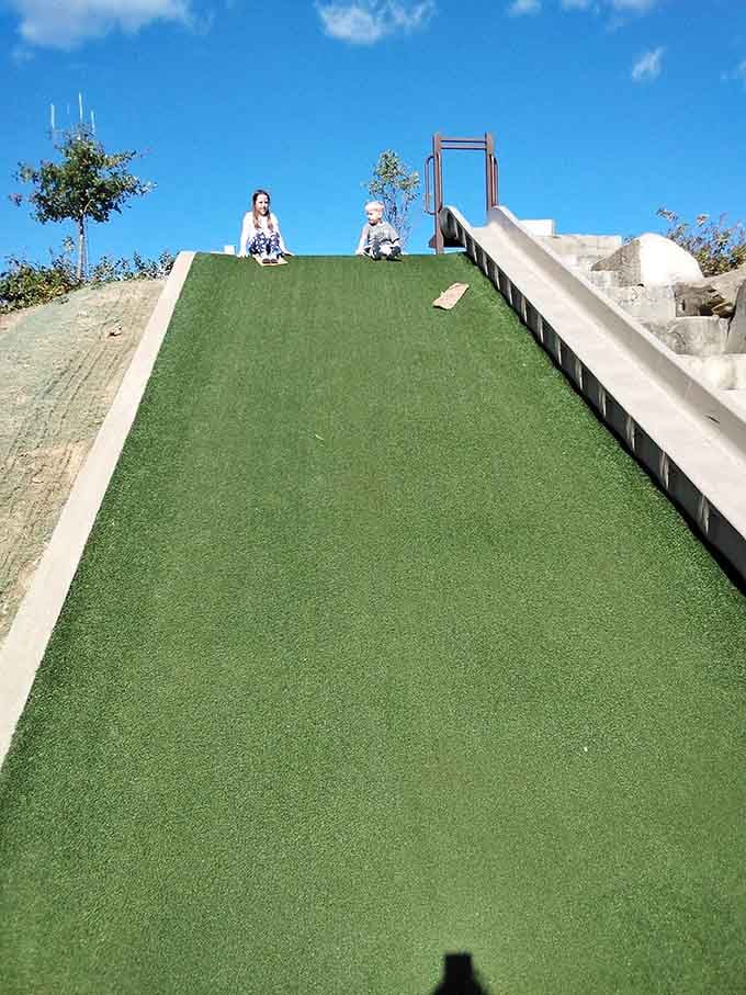 Turf-covered slides built into hillsides, because gravity plus imagination equals the perfect recipe for childhood joy.