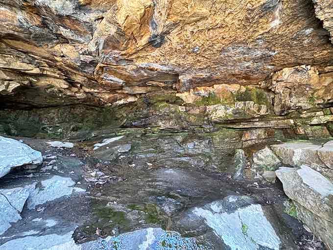 Ancient rock shelters carved by time itself, reminding you that Alabama's been extraordinary long before anyone was watching.