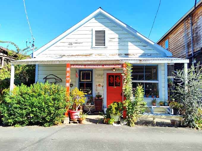 Locke Chinese Medicine, a bright red door and a century of healing tradition, still open for business.