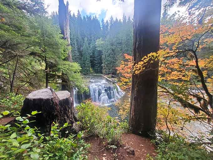 Autumn colors frame the falls like nature decided to coordinate its entire wardrobe for maximum visual impact.