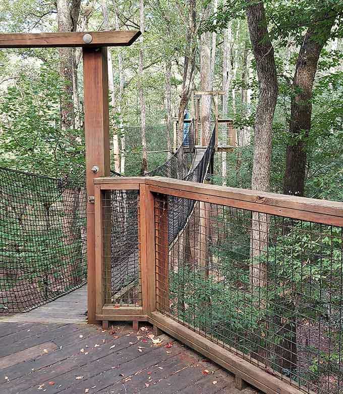 From this platform, the forest stretches out in every direction, and your worries stay on the ground below.