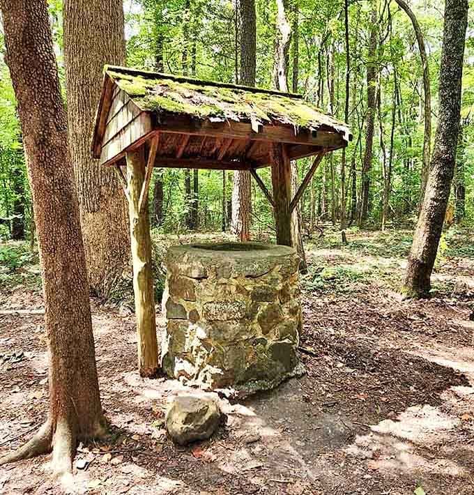 A stone wishing well sitting quietly in the forest, patiently waiting for someone to make a wish worth granting.