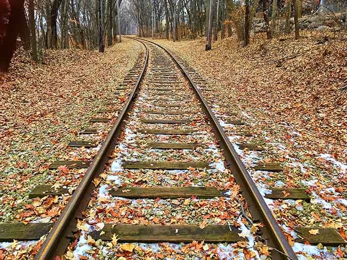 These tracks disappear into a carpet of fallen leaves and early snow, and somehow that's perfectly fine.