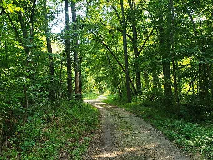 Shaded trails wind through forests so peaceful you'll forget your phone exists, which is entirely the point.