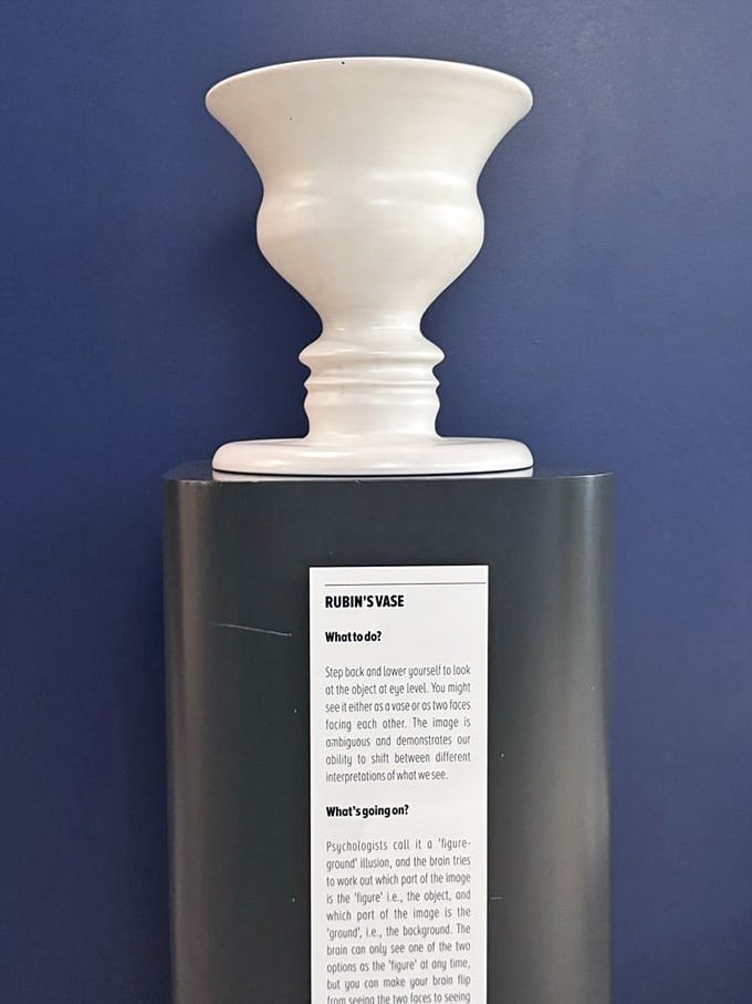 A vase or two faces? Rubin's Vase has been stumping people for over a century, and it's still winning.
